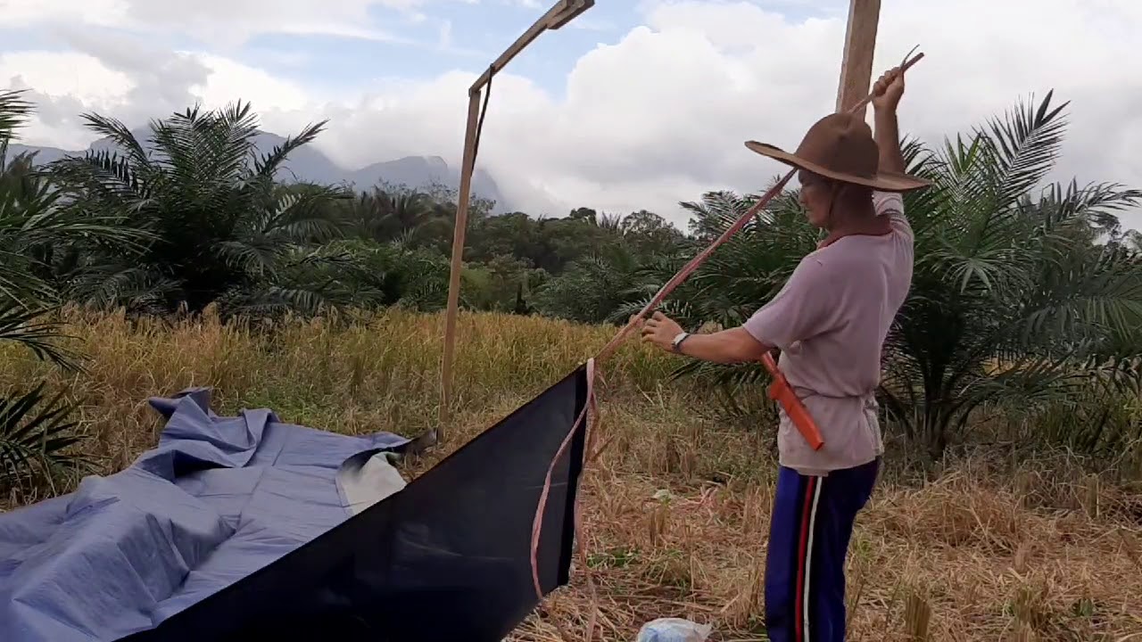 Membuat tempat penyimpanan hasil penen padi | Traditional Farmer - YouTube