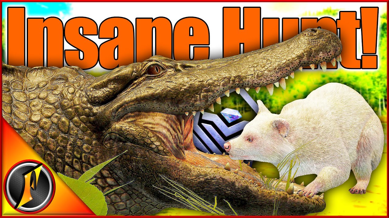 ALBINO Raccoon & Diamond Gator!!! | Insane Hunt on Mississippi Acres ...