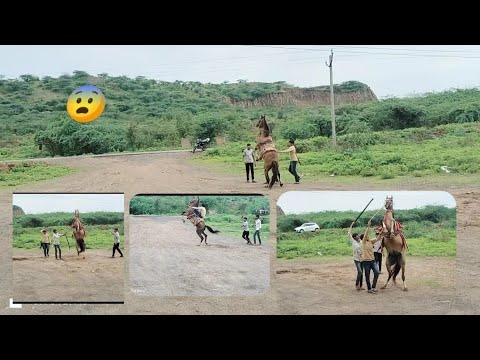 કેડી એ સુ કર્યુ 😱ll horseriding ll Horse power - YouTube