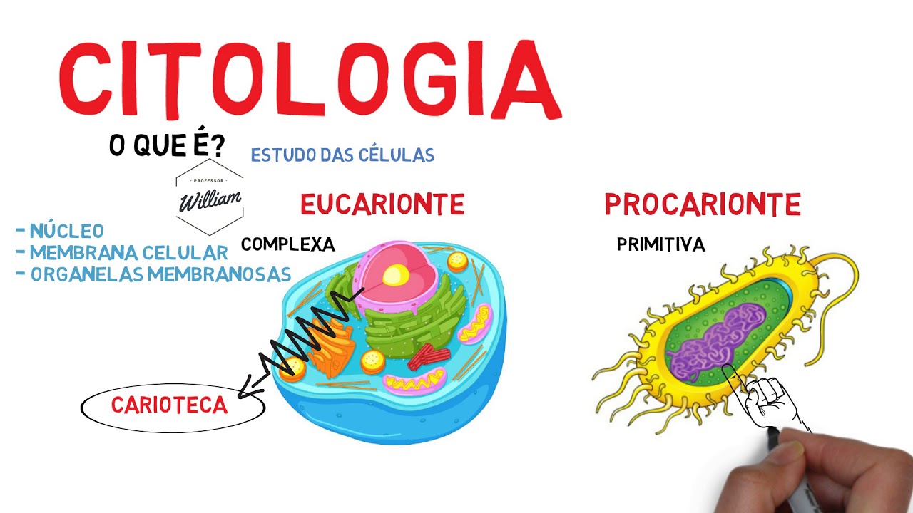 Biologia Com Imagens Estudo Das Celulas Citologia Citologia Resumo