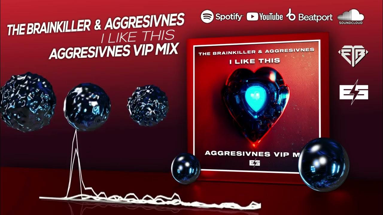 THE BRAINKILLER AGGRESIVNES I LIKE THIS AGGRESIVNES VIP MIX the-brainkiller-aggresivnes-i-like-this-aggresivnes-vip-mix