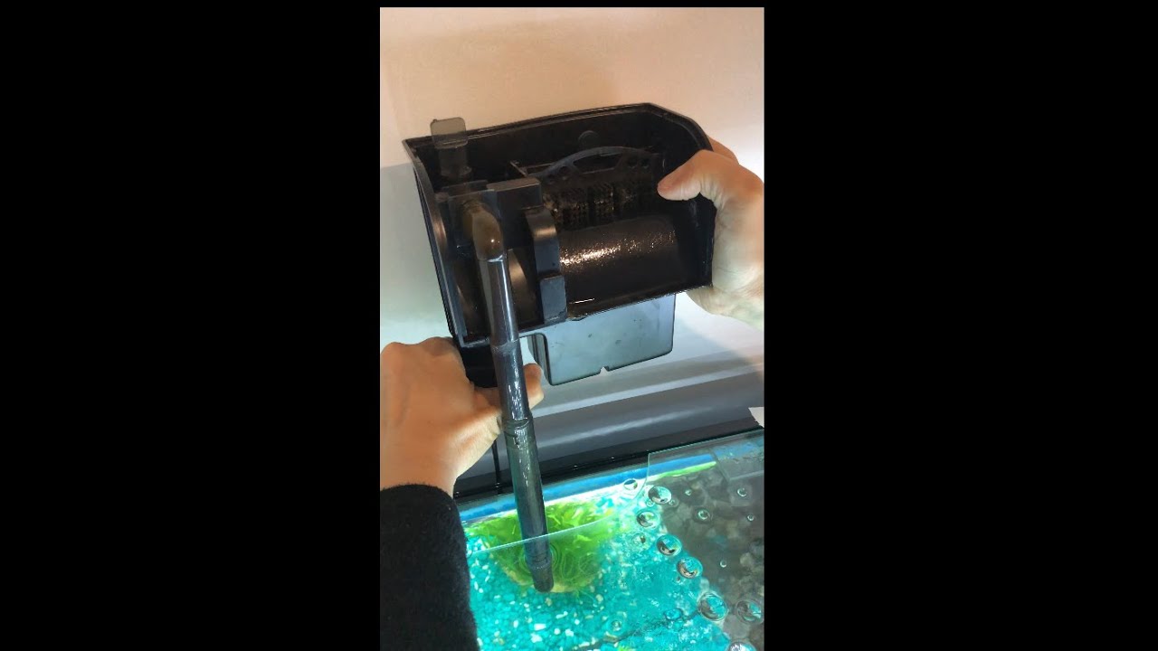 Cleaning Aqua One Hang On Filter Assembly and Changing Carbon Cartridge ...