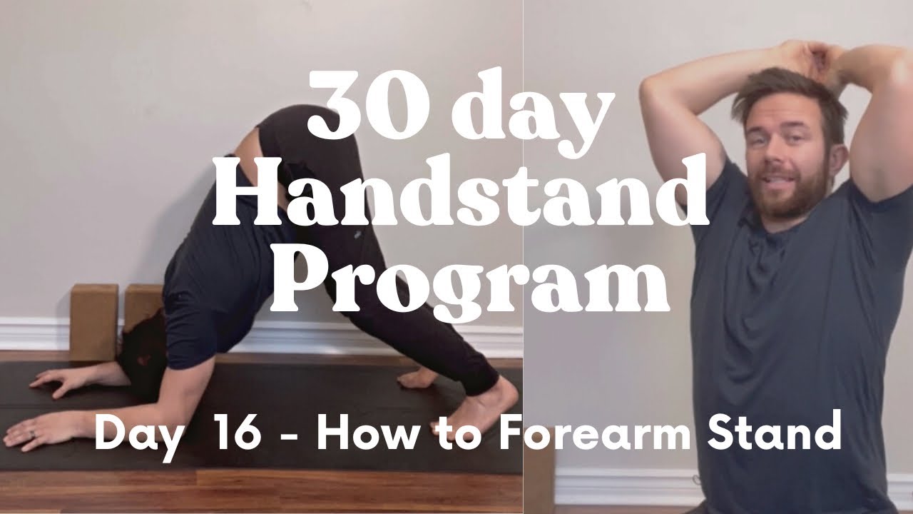 How to forearm stand - strength, balance and stability drills #mobility ...