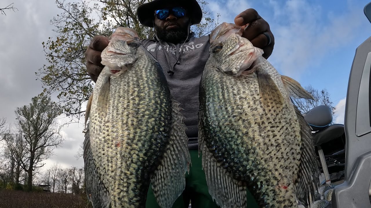Unbelievable Size Crappie " 15 OVER 2LB UNREAL" - YouTube