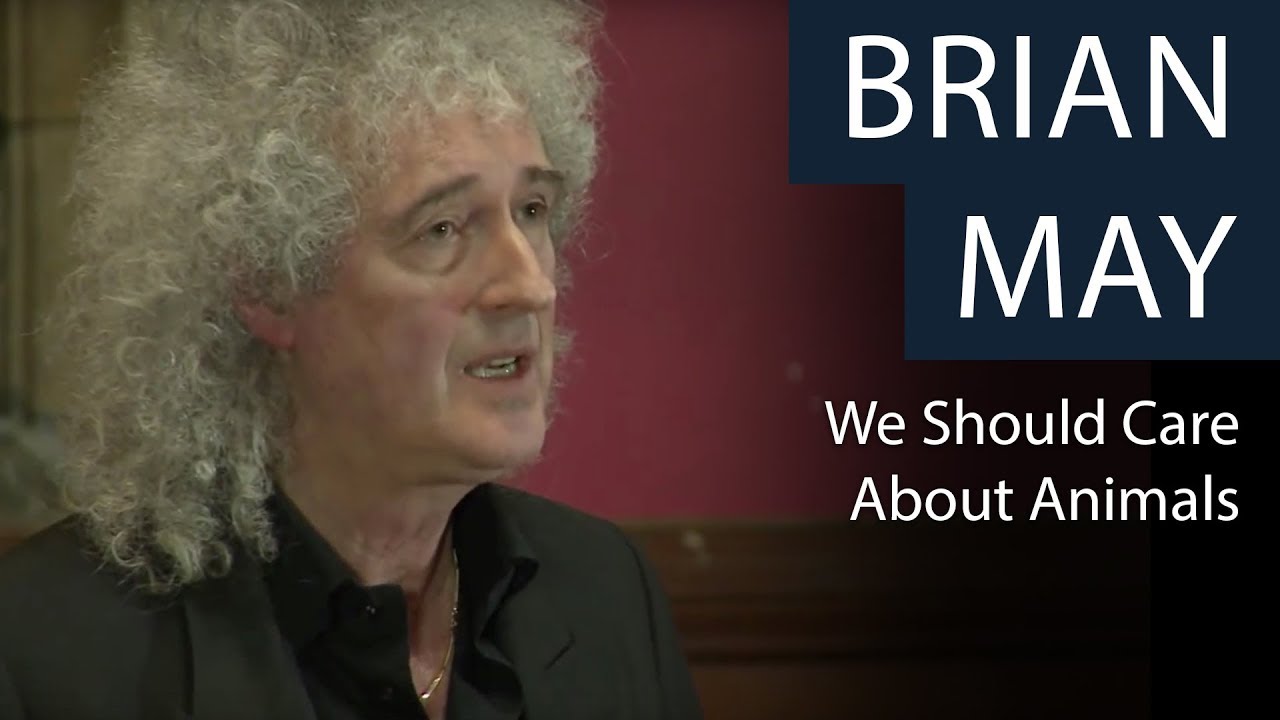 Why Should We Care About Animals? | Brian May | Oxford Union - YouTube