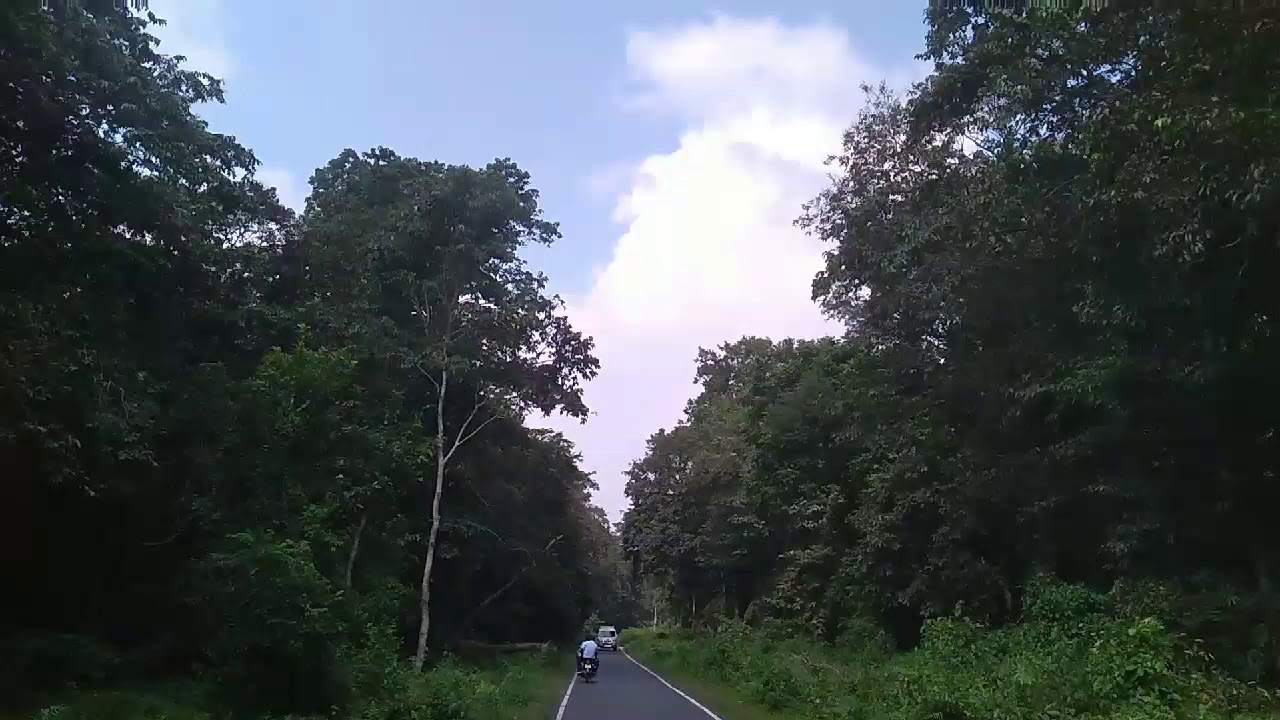 BUXA TIGER RESERVE FOREST TOUR - YouTube