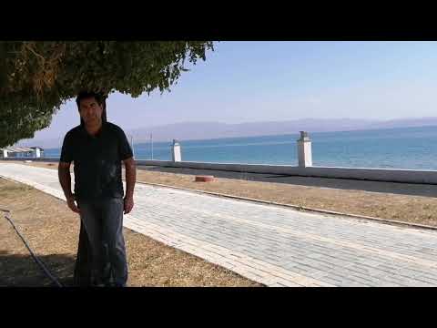 Zeynebim - Mehmet Çelik Erses