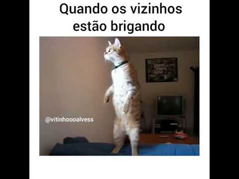 Quando os vizinhos estão brigando, nós fica como?? kkkkk