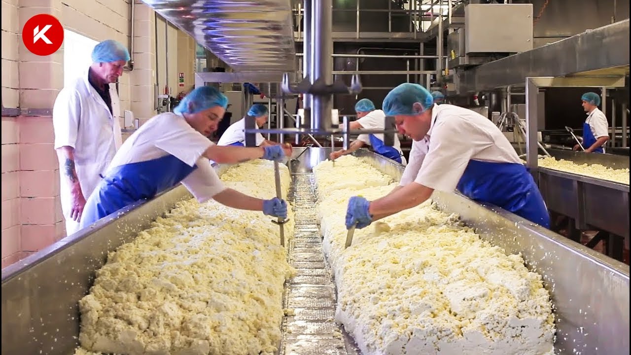 Korean Cheese factory | This is How Cheese is Produced in The Factory 2 ...