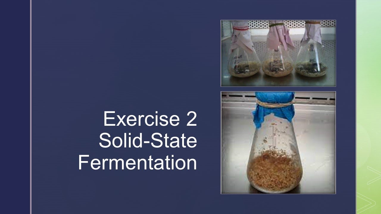 InBt121 Laboratory Exercise No. 2-Solid State Fermentation - YouTube