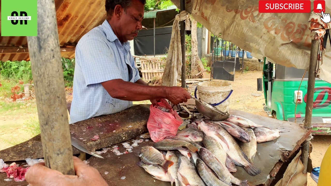 Fish Cutting 101: The basics of how to properly cut fish/Crazy Reviews ...