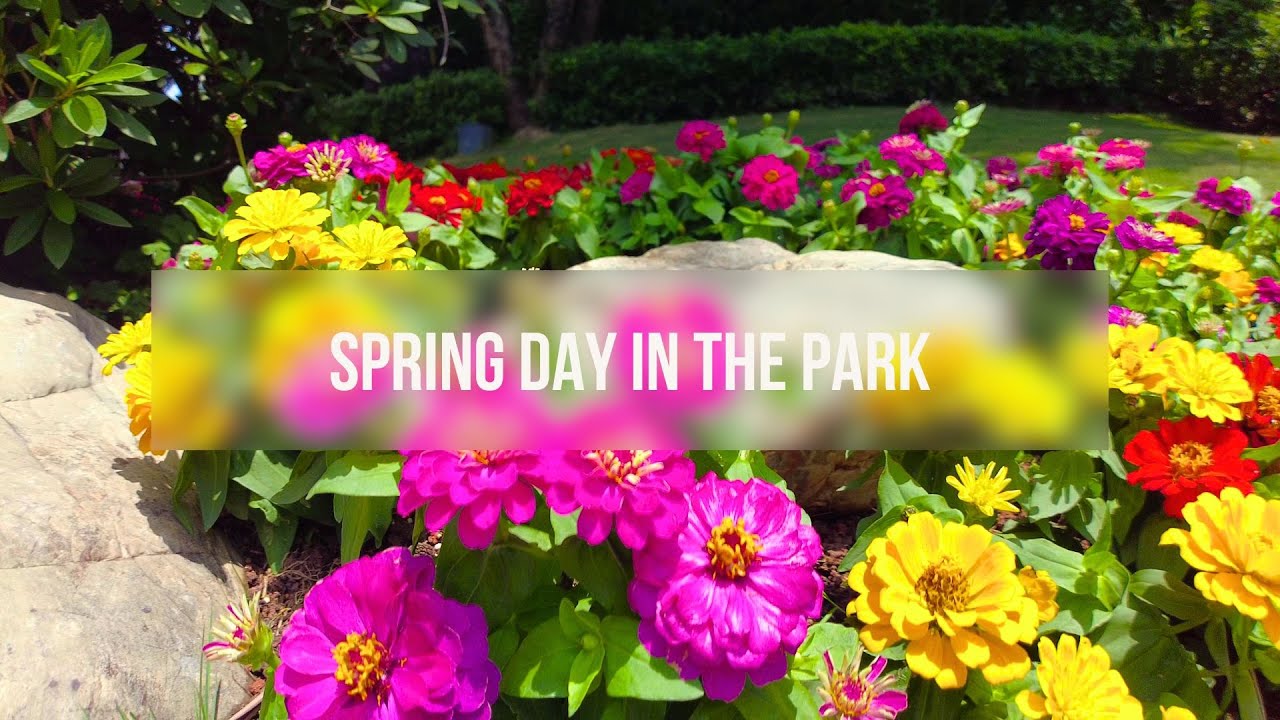 Spring day in the park, Xiamen, China 4K - YouTube