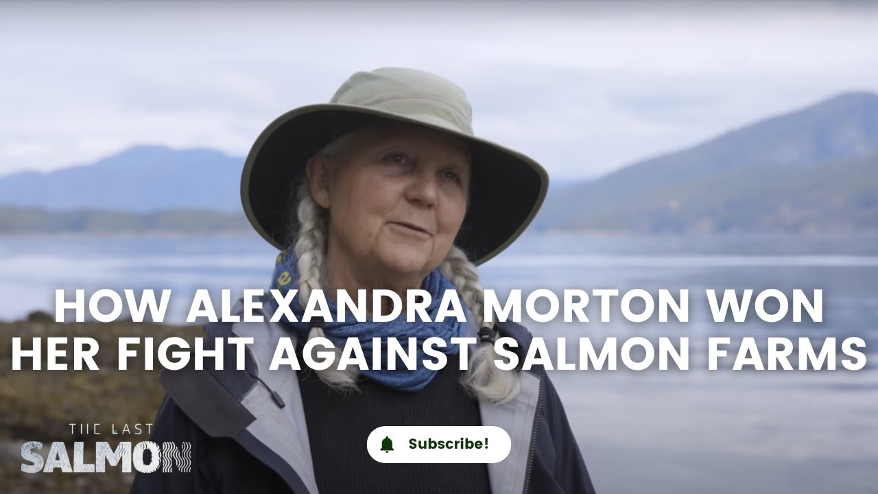 The Last Salmon: How Alexandra Morton won her fight against salmon ...