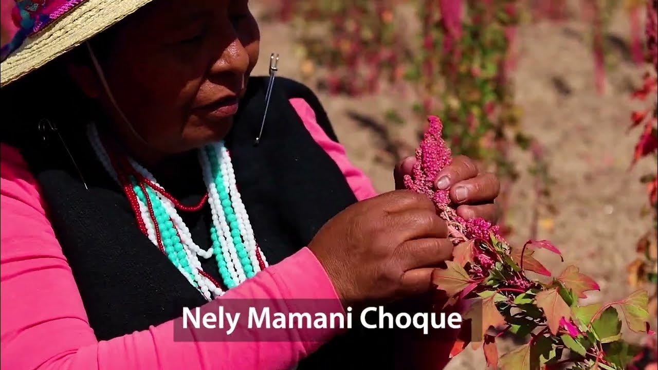 "Spot: Nélida Díaz Mamani candidata a constituyente escaños reservados - YouTube