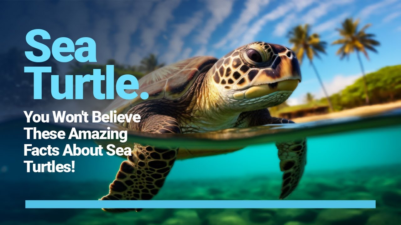 Unveiling the Ocean's Mystique: Astonishing Sea Turtle Secrets!" - YouTube