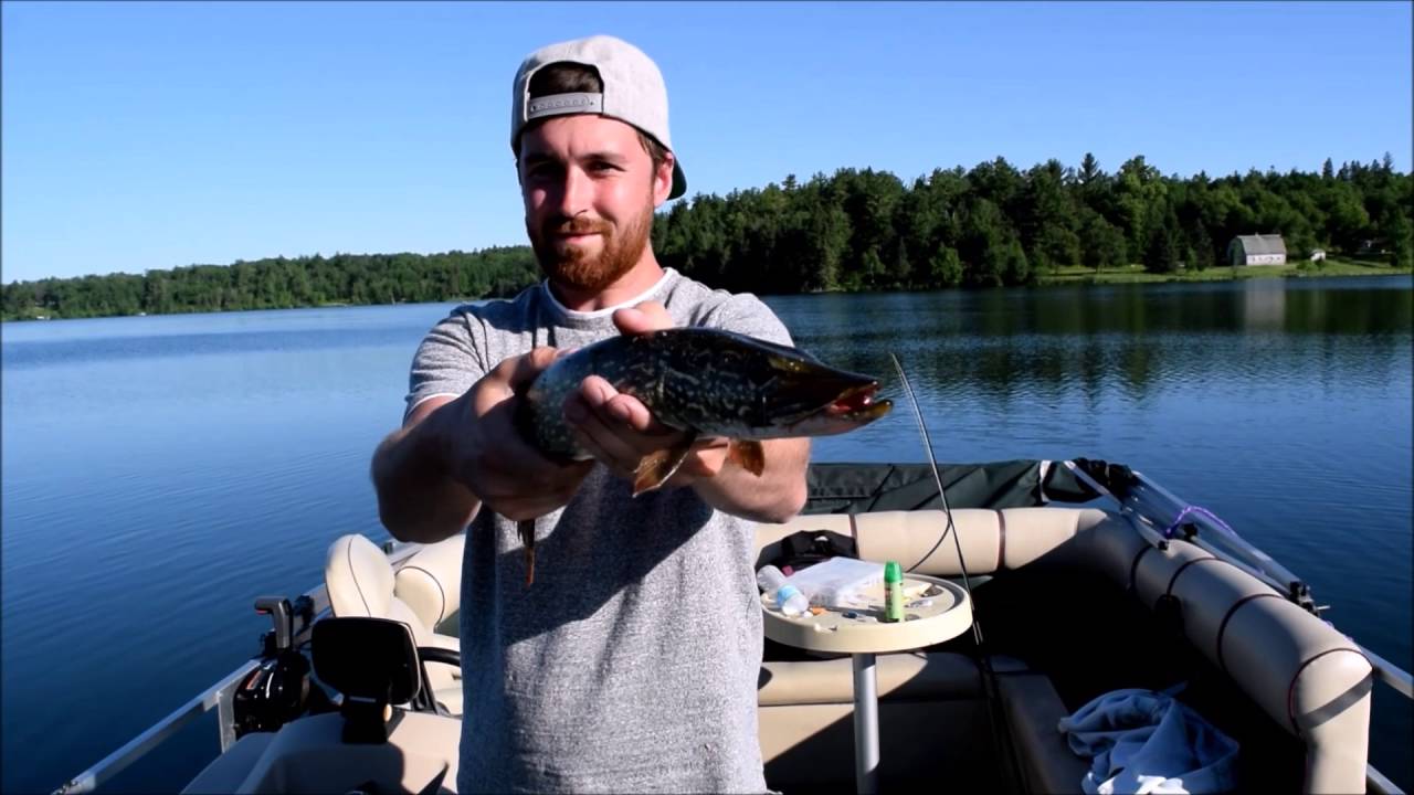 Northern Pike and Bass Fishing on 11th Crow Wing Lake (Underwater ...