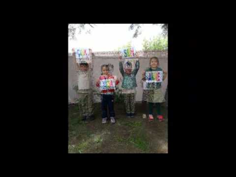 Tev. Türkan Sedefoğlu ilkokulu 2017 2 D Anneler Günü