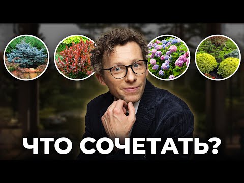 5 лучших комбинаций всесезонных растений, которые можно посадить у себя в саду