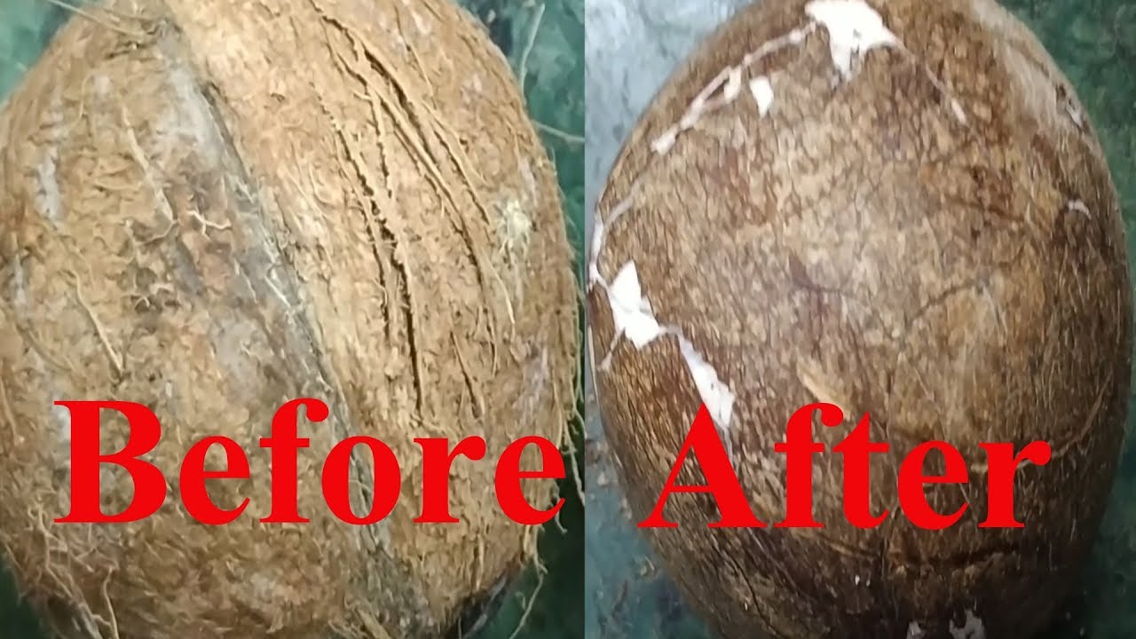 How to Break Coconut in Minutes | नारियल छीलने के दो आसान तरीके | How ...