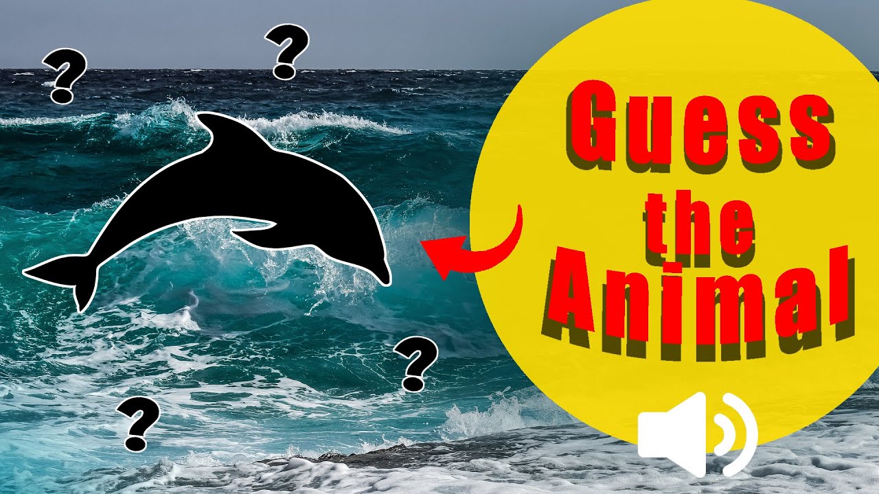 Guess the Correct Animal Sound CHALLENGE (20 Easy Animals for Children ...