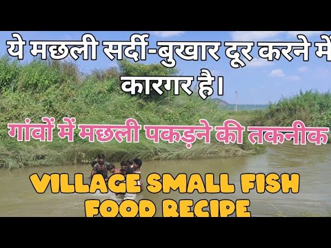Small Fish Curry ll Small Fish Recipe ll Small Fish Vedio ll village ...
