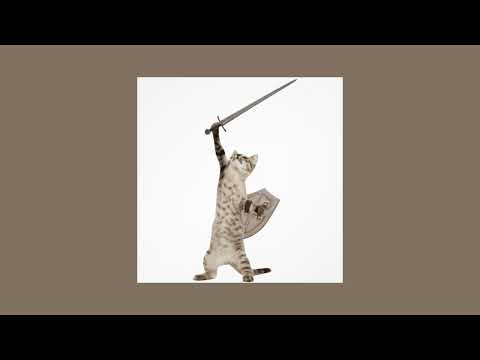Champion - Fall Out Boy (sped up)