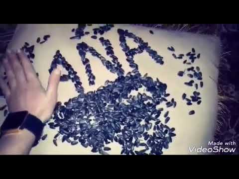 Ana adına super videolar