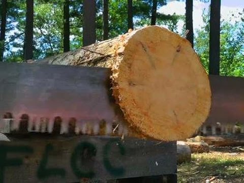 Mastering Ax Throw, Sawing in Lumberjack Class