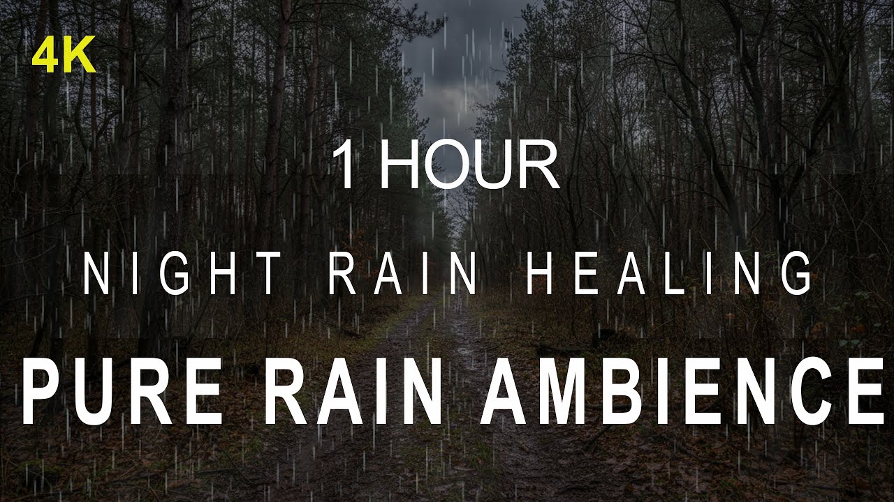 ⛈️ Pure Rain Ambience | Perfect for Long Sleep | 1 Hours - YouTube
