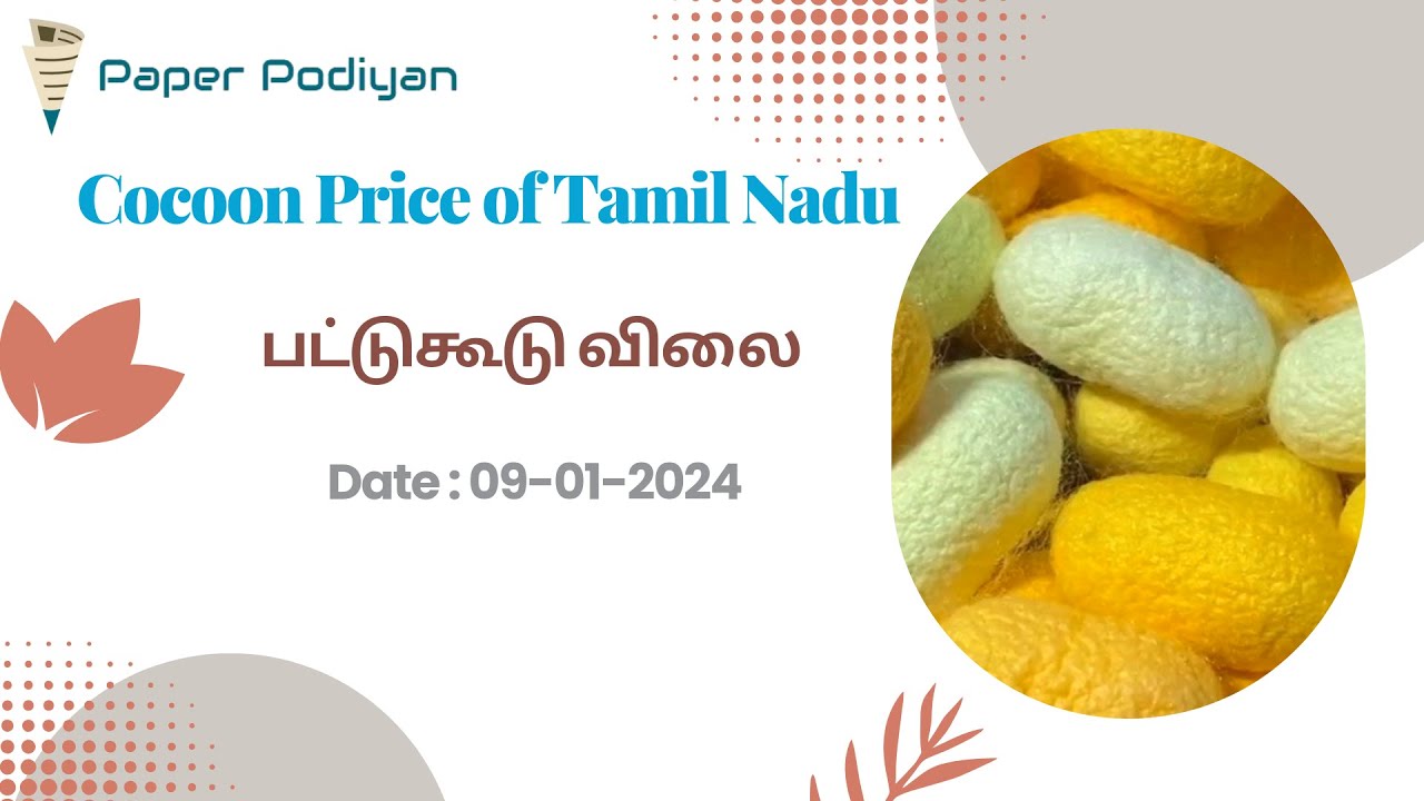 09-01-2024 | பட்டுகூடு விலை |Cocoon Price | #cocoon #silkworm #silk # ...