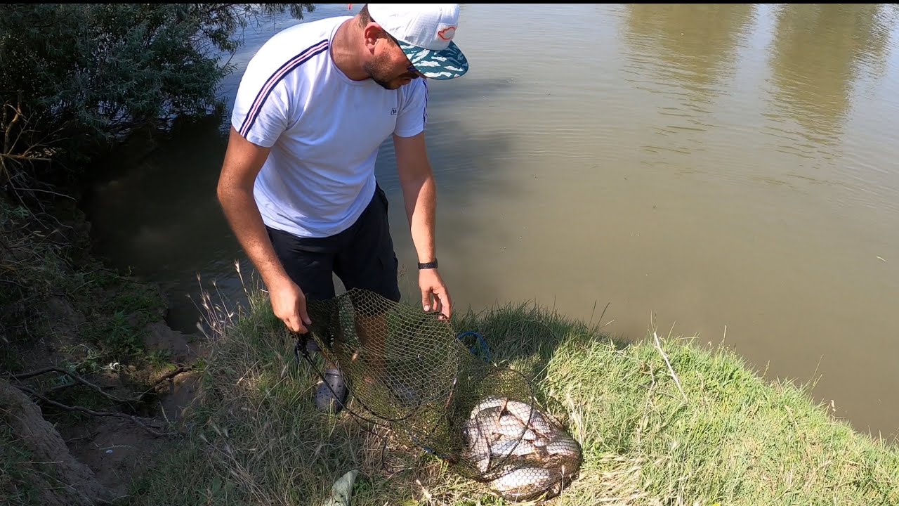 O partidă de 24h cu succes împreună cu Iuli 🐟🎣 - YouTube