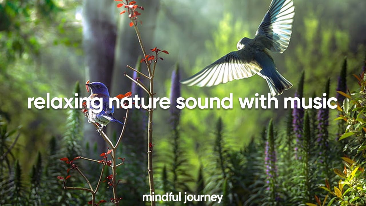 Relaxing Nature Sound with music 4 Hour non stop. - YouTube