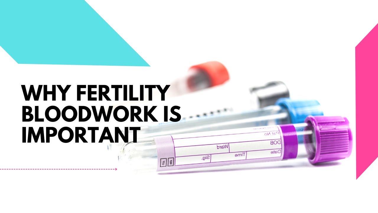Why Fertility Bloodwork Is Important - YouTube