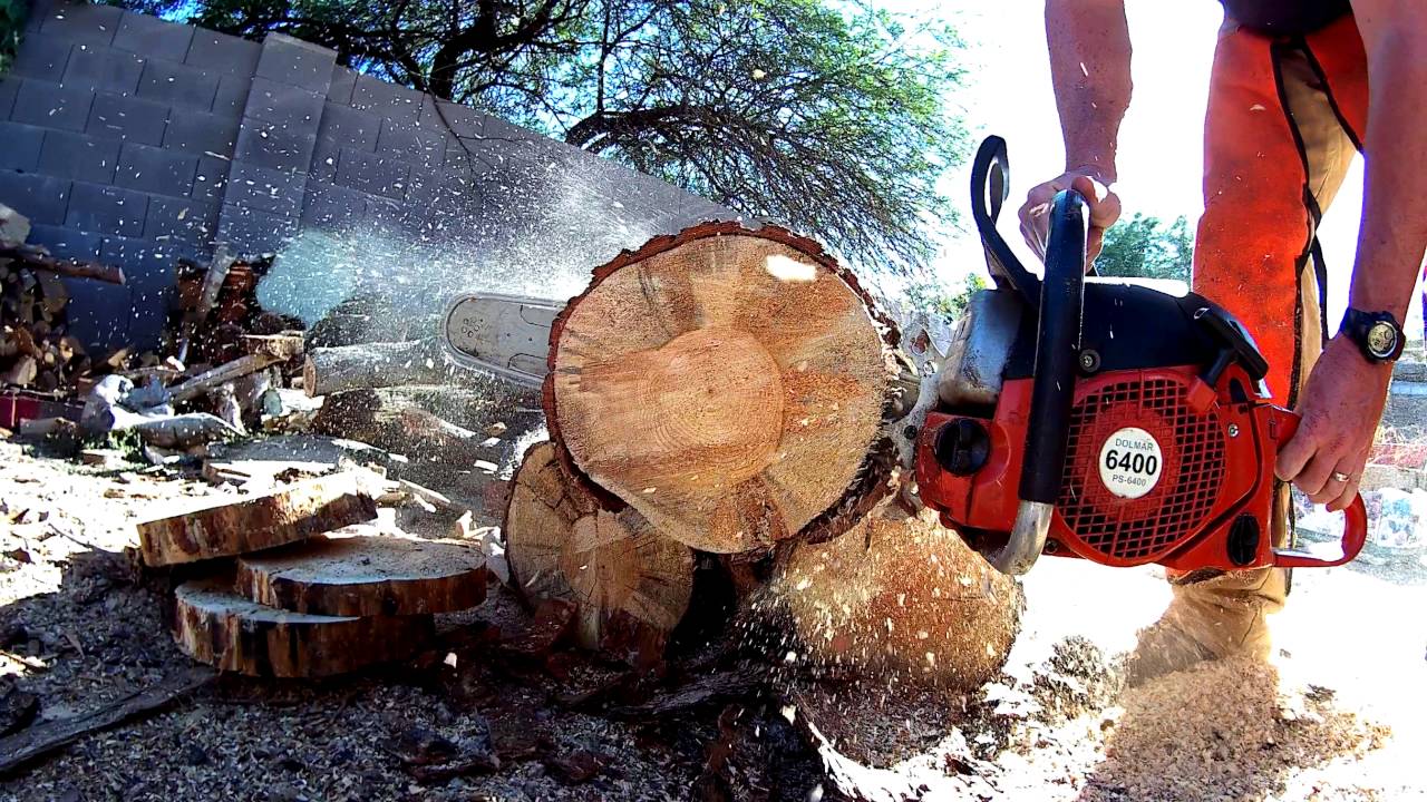 Stihl 660 Makita 6421 Dolmar 6400 chainsaws cutting - YouTube