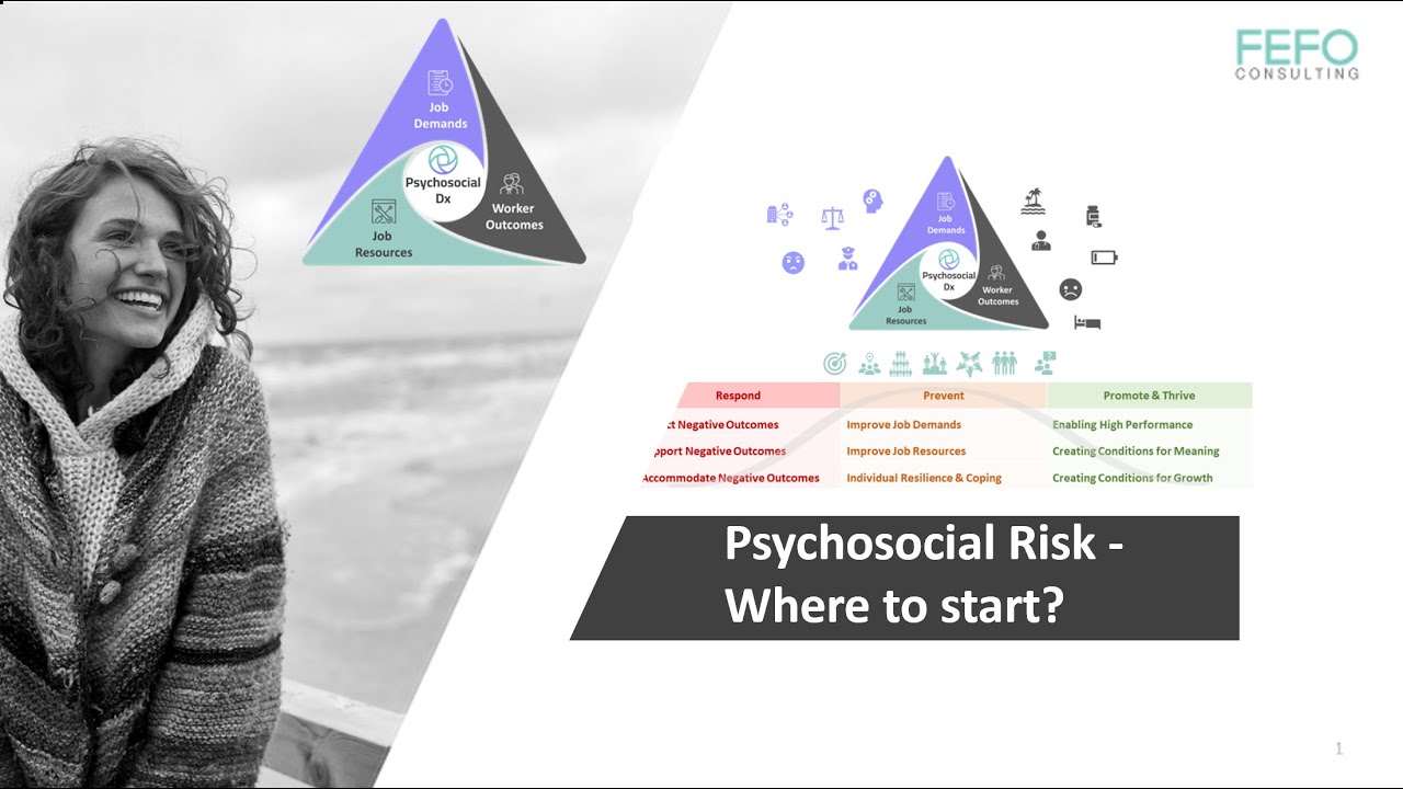 1.2 Psychosocial Risk - Where to Start? - YouTube