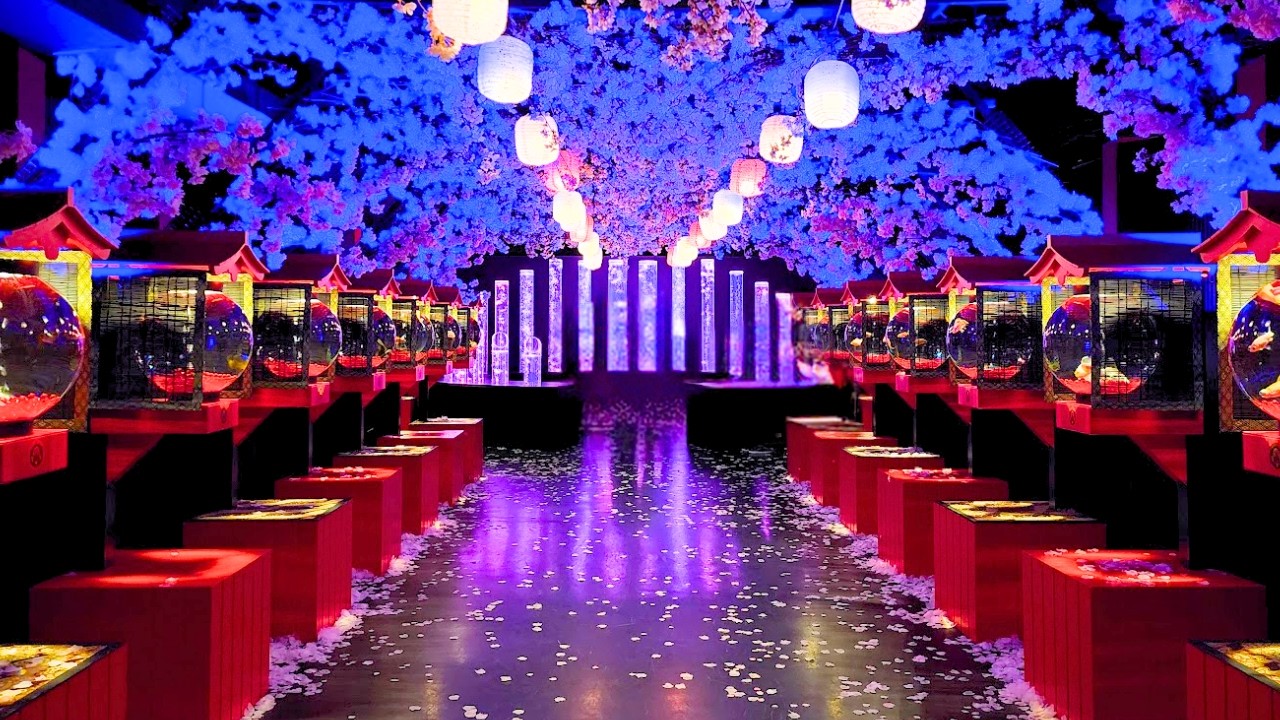 Inside Ginza’s Secret "TeamLab Style" Aquarium - YouTube