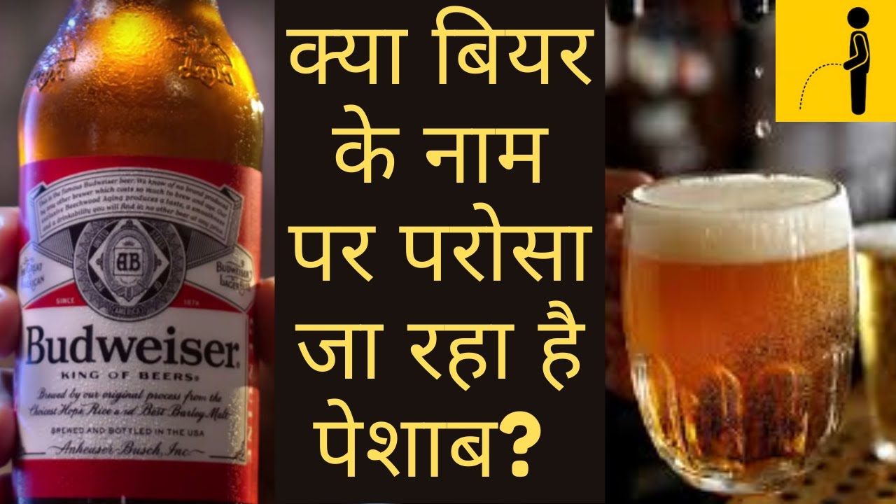 Budweiser Employee Peeing In Beer For 12 Years? | Budweiser News ...