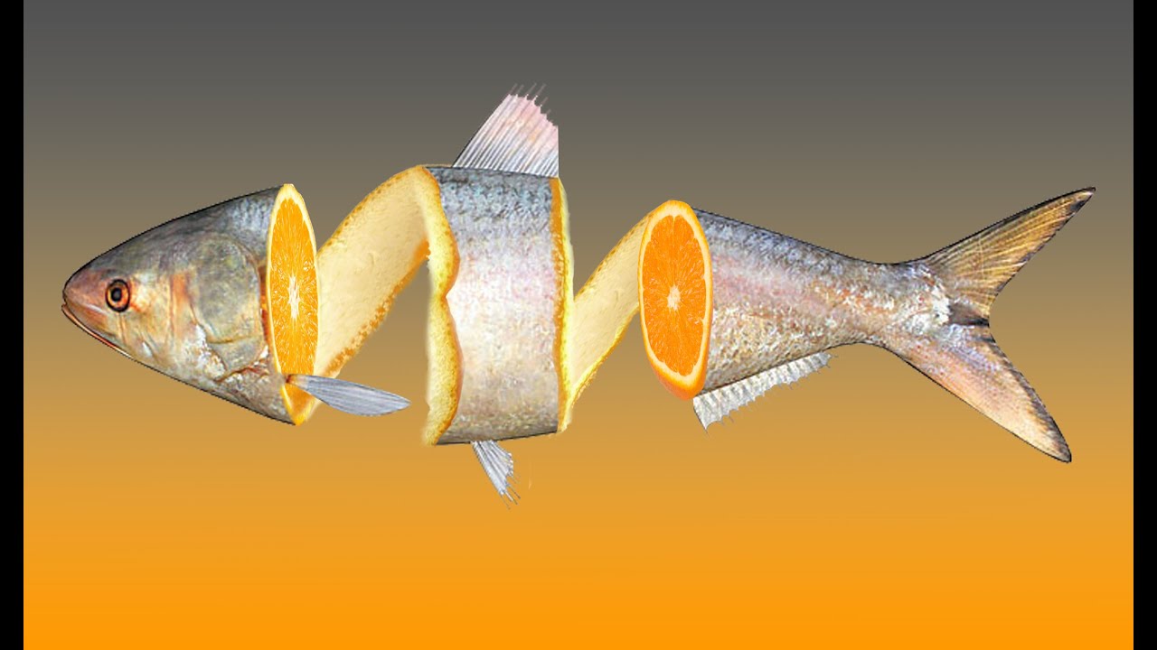 Orange Cutting Fish Manipulation Tutorial in Adobe Photoshop CC by ...