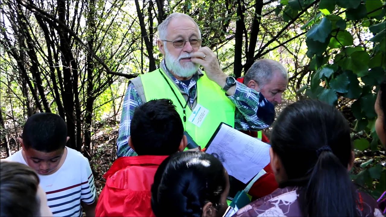 Whau River Catchment Trust Bio Blitz July 2015 - YouTube