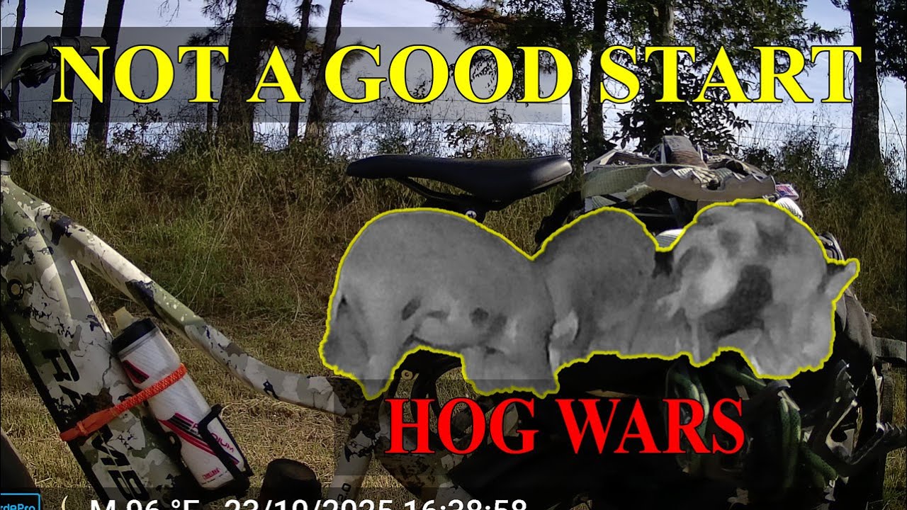 Hog WARS, bad way to start the trip, Trail Side Fix, in the Dark, Mid ...