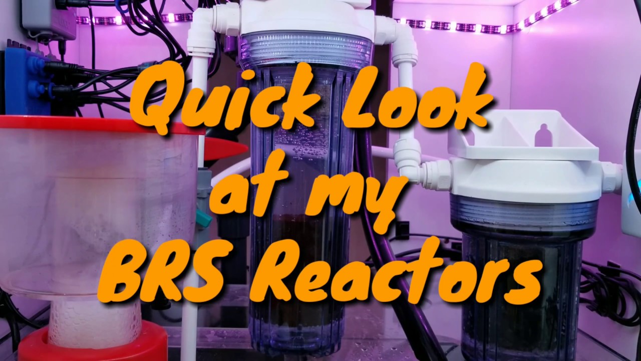 My Bulk Reef Supply Reactor Setup (GFO & Carbon) - YouTube