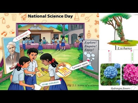 CURIOSITY-7 /EXPLORING SUBSTANCES:ACIDIC,BASIC,AND NEUTRAL/SCIENCE ...