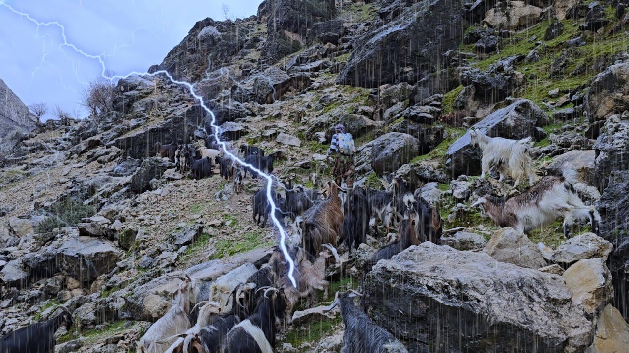 ⛈️ Challenges of nomadic life |: Shamsullah's battle with rain and ...