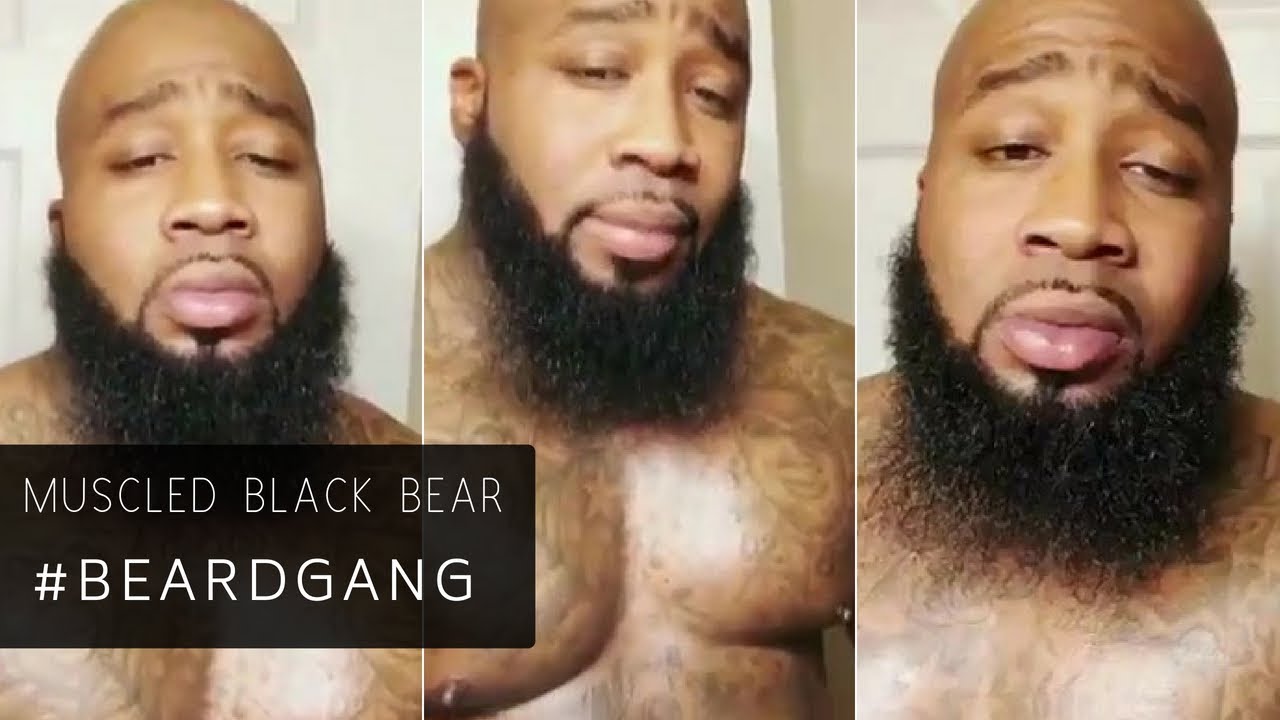 Muscled Black Bear Beardgang Youtube