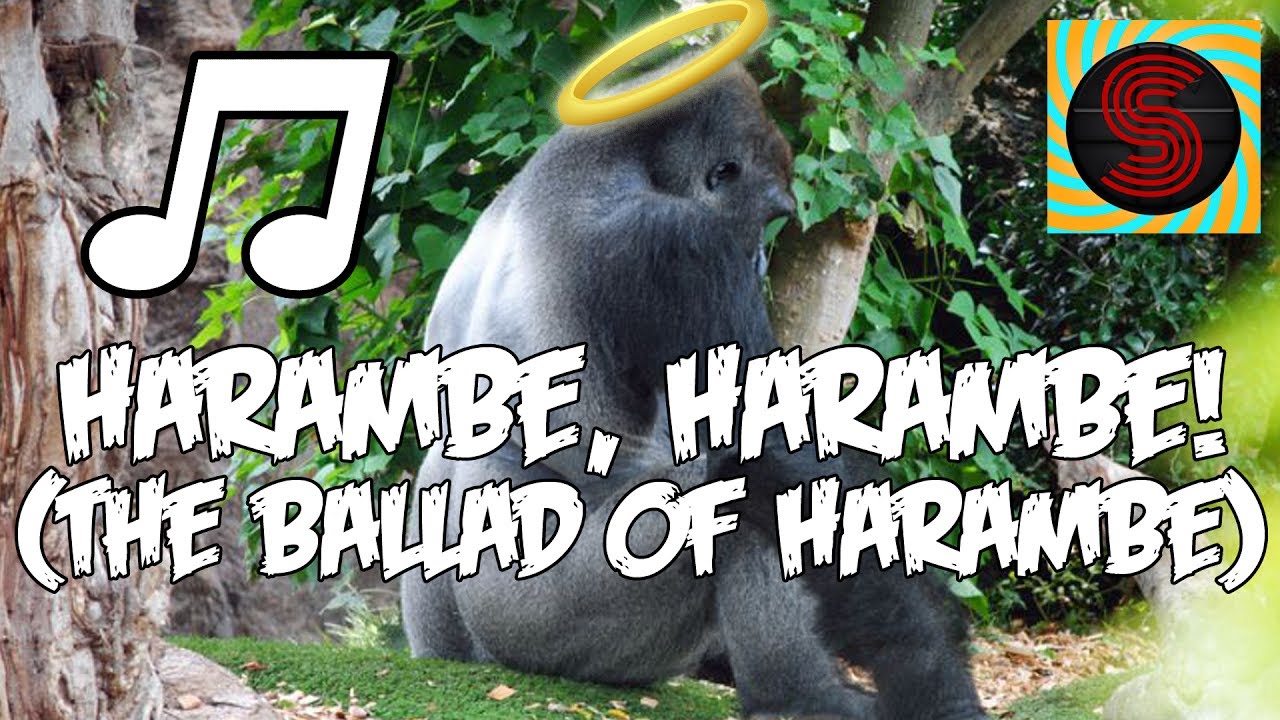 ONE YEAR ANNIVERSARY! Harambe, Harmabe! (The Ballad of Harambe) - First ...