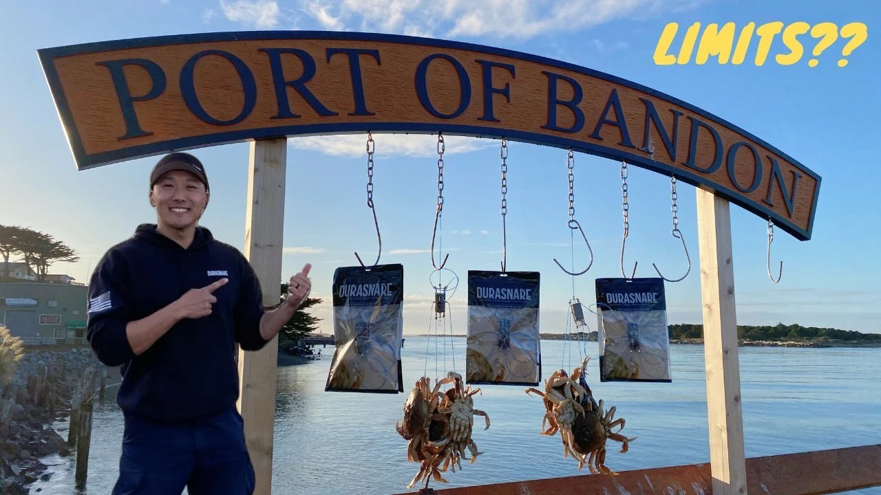 Crabbing in Bandon Oregon for Dungeness Crabs with Crab Snares - YouTube