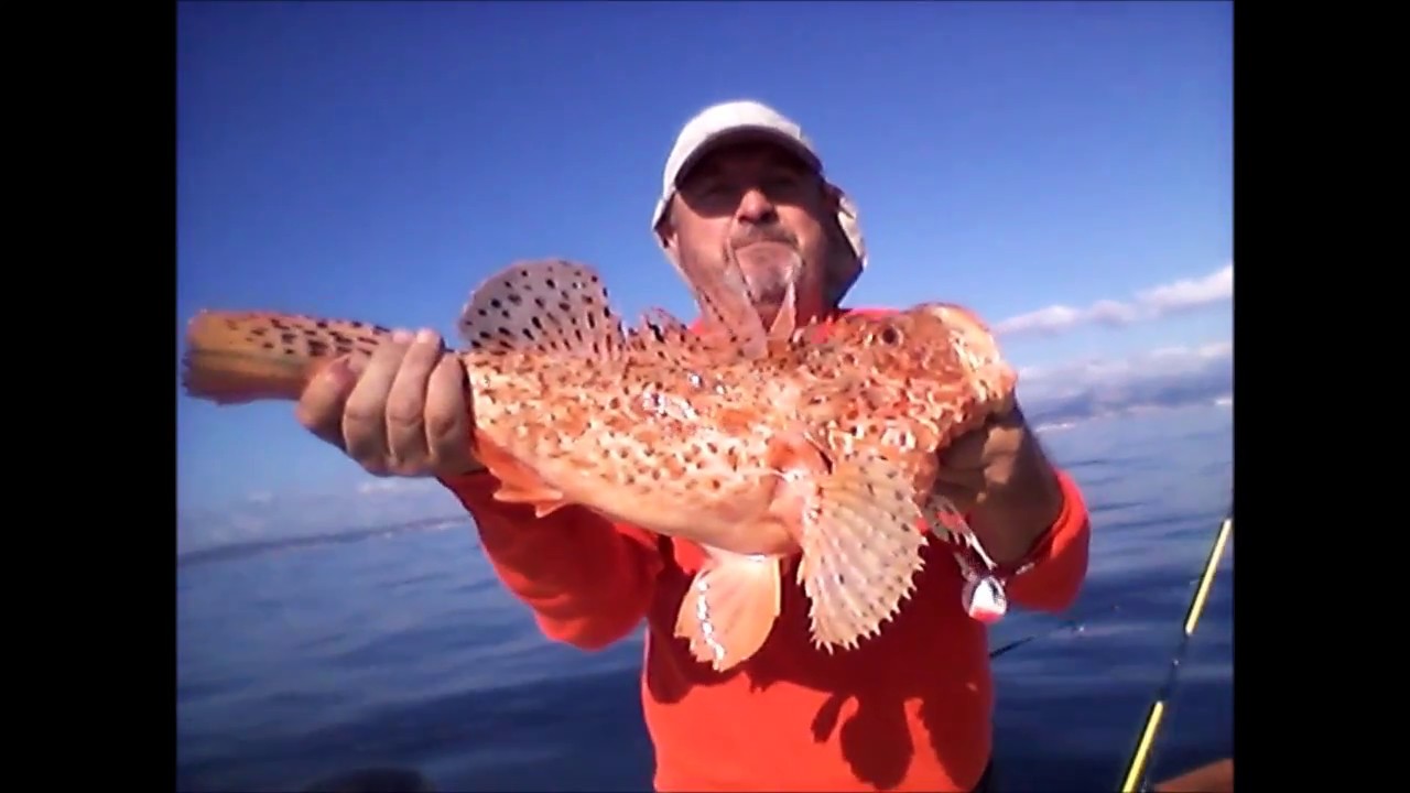 cap roig con titulo - YouTube