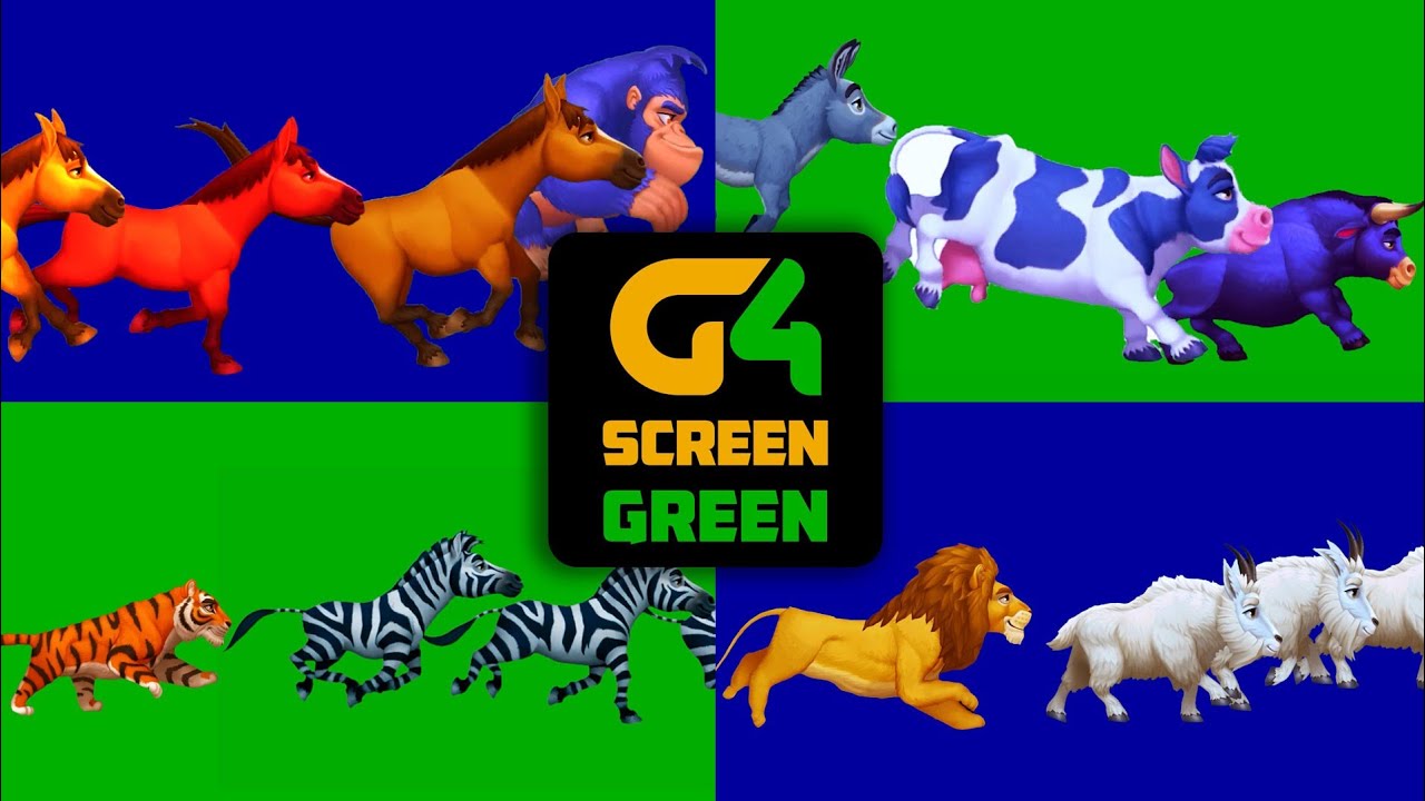 New Animals Running 3D Video Stampede P1 | Cartoon Animal Green Screen ...