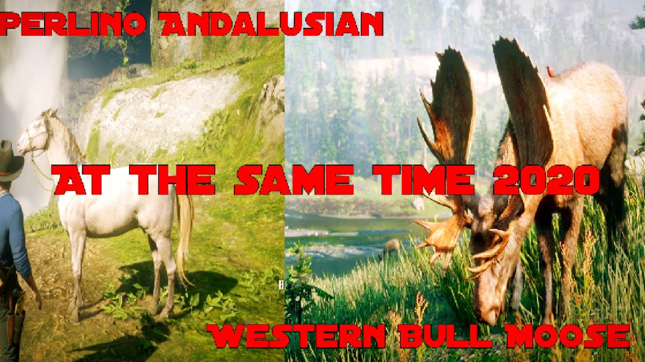 Western Bull Moose and Perlino Andalusian location - RDR2 (AT THE SAME ...
