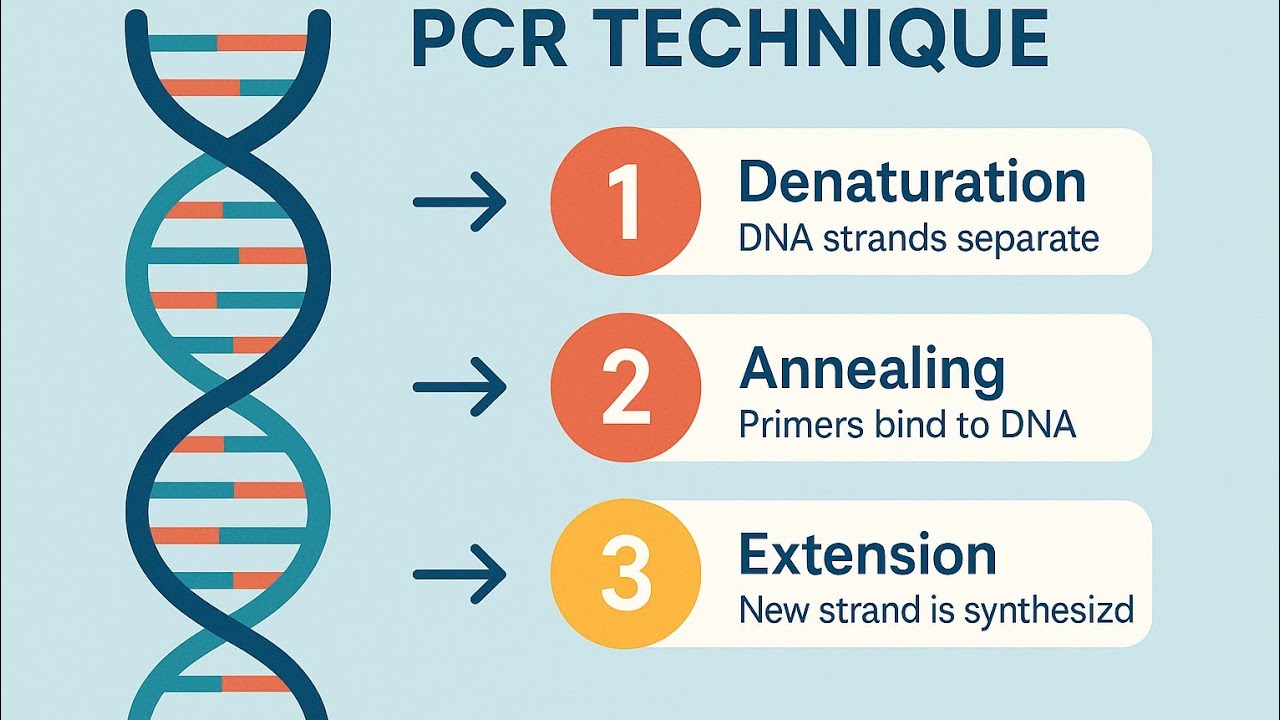 pcr technique#biochemistry #molecular biology#DNA#RNA#polymerization# ...